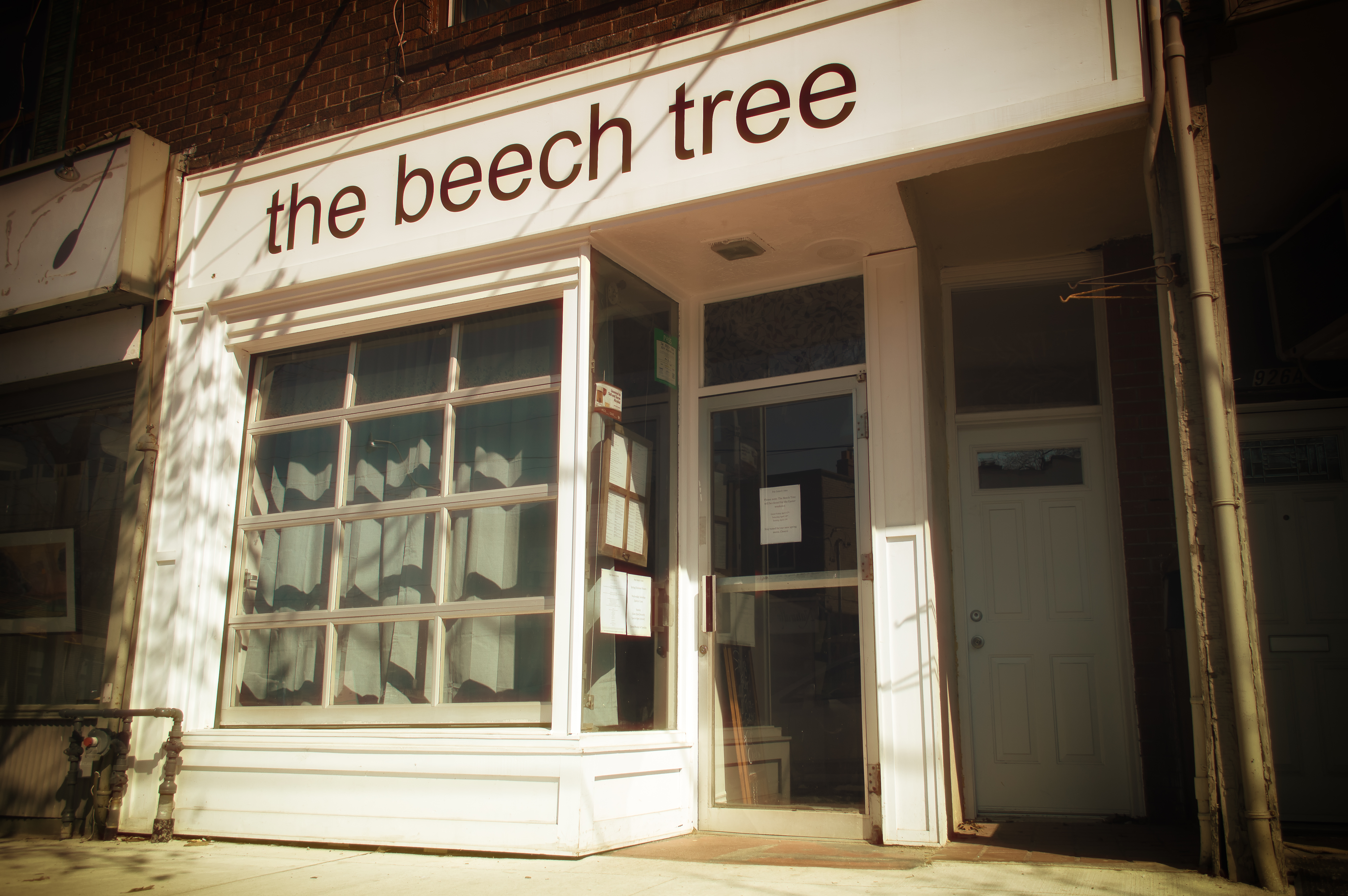 Gallery & Video – The Beech Tree